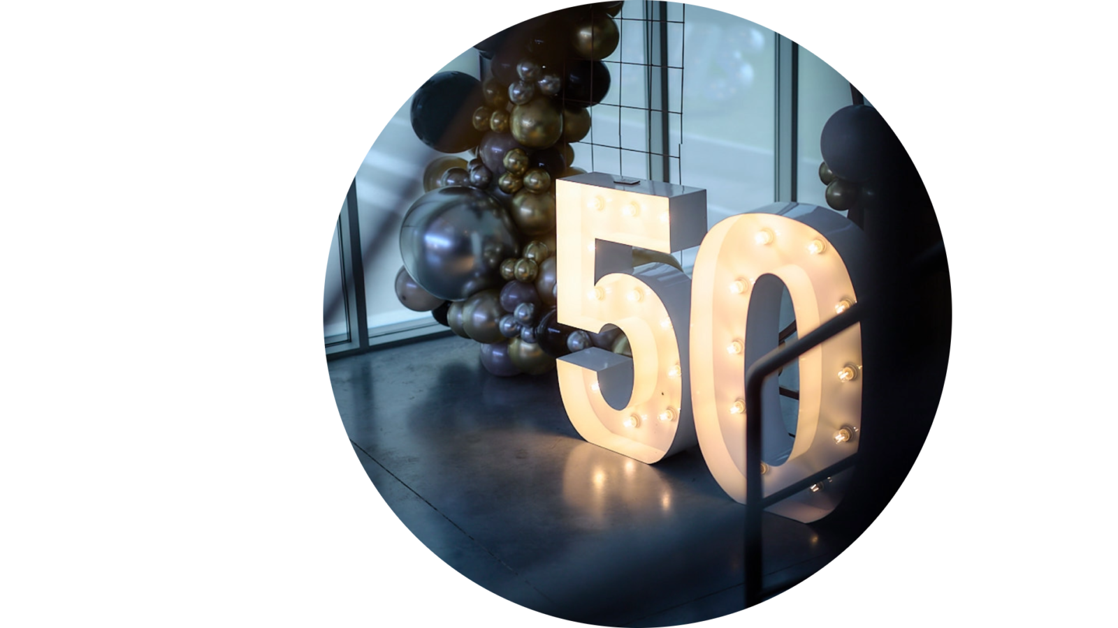 About BMSvision | BMSvision